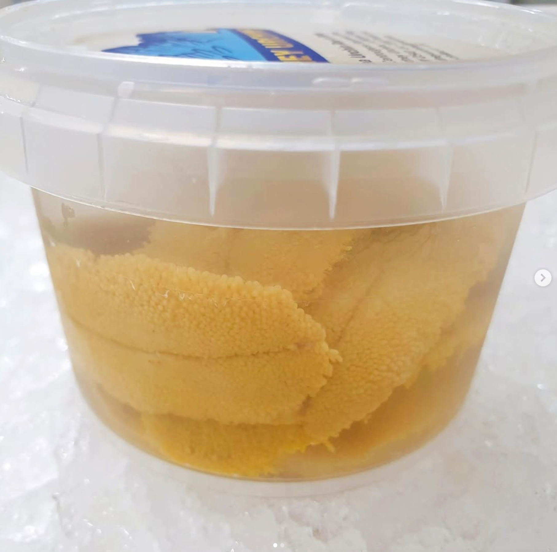 Sea Urchin Kina - 150g – Sydney Urchins